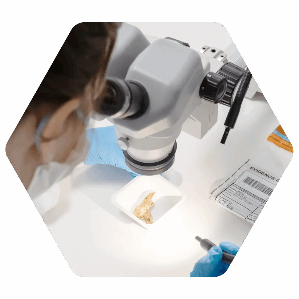 Our Services | Analytical Expert Labs